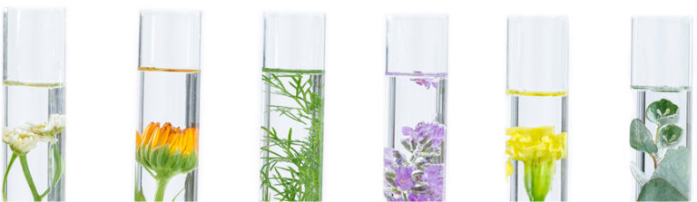 Products - Lab Botanic